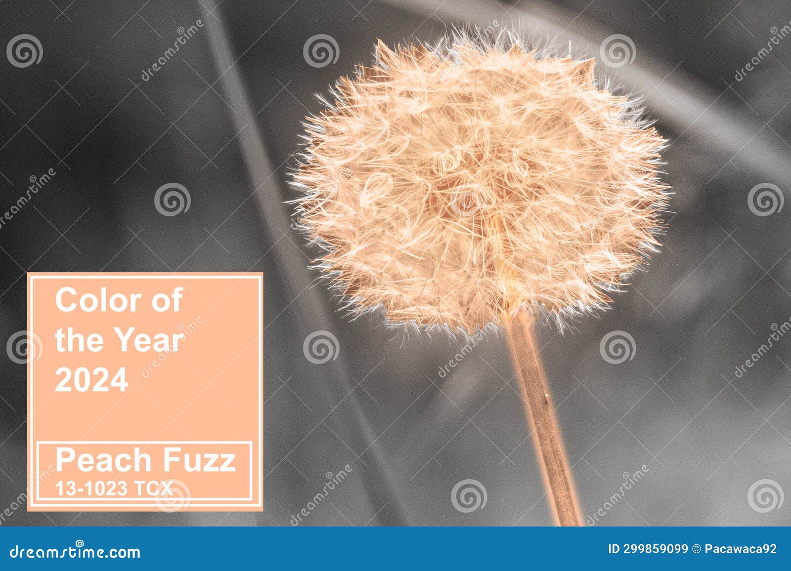 Dot Peach Fuzz Color Halftone Round Circle Gradient. Sun Texture ...