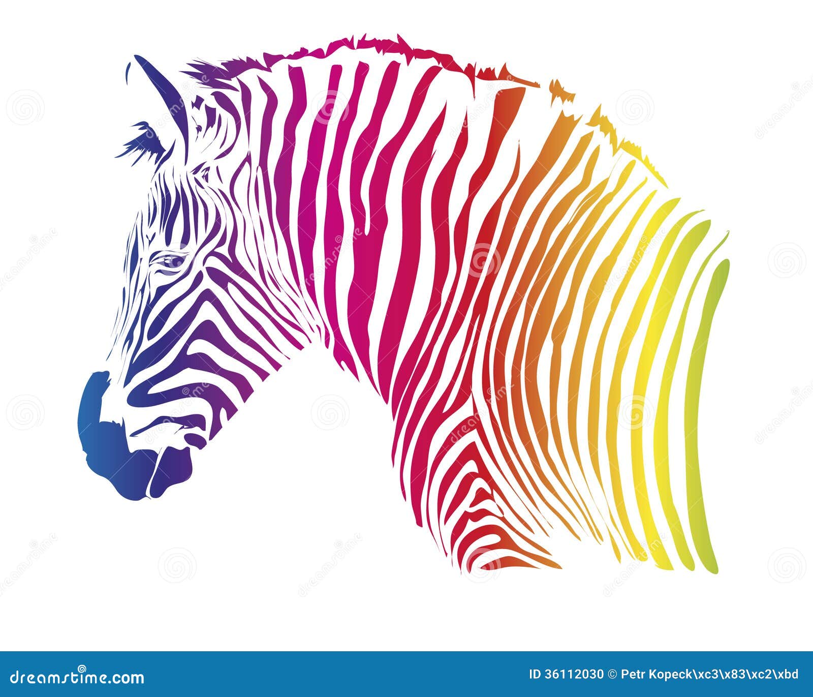 Color zebra stock illustration. Illustration of camouflage - 36112030