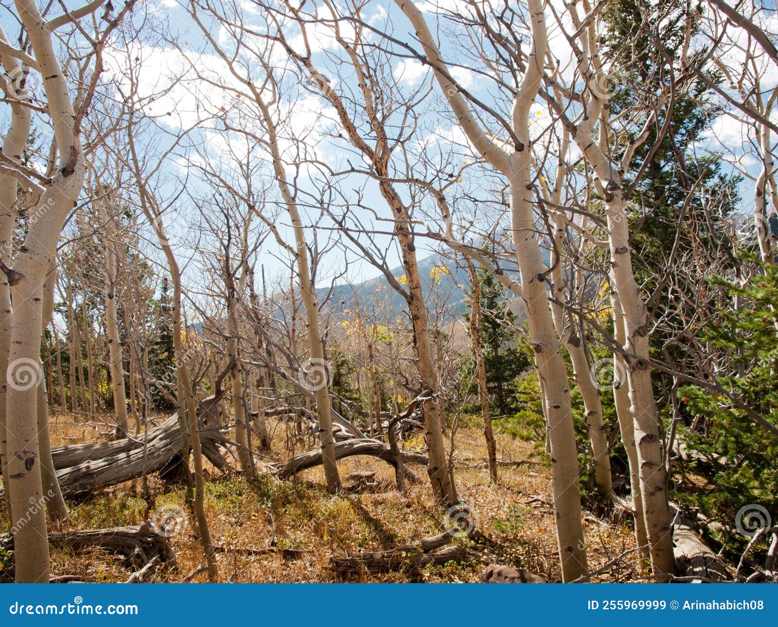 Autumn landscape stock image. Image of scenics, rock - 255969999
