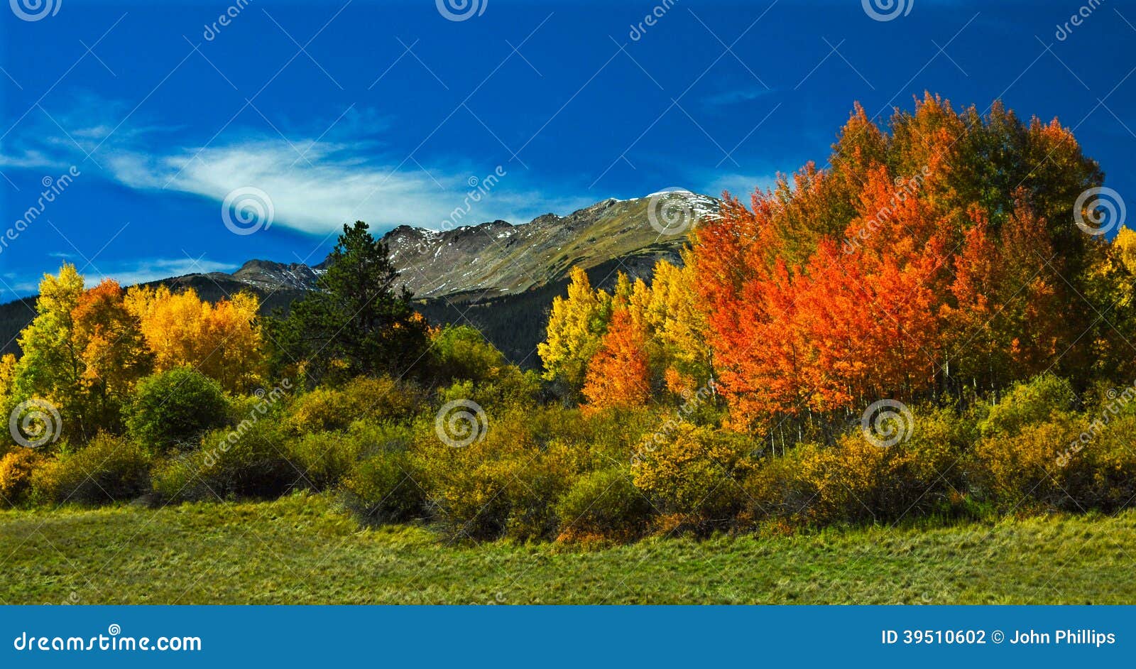 Colorado Autumn 5 stock photo. Image of landscape, colorado - 39510602