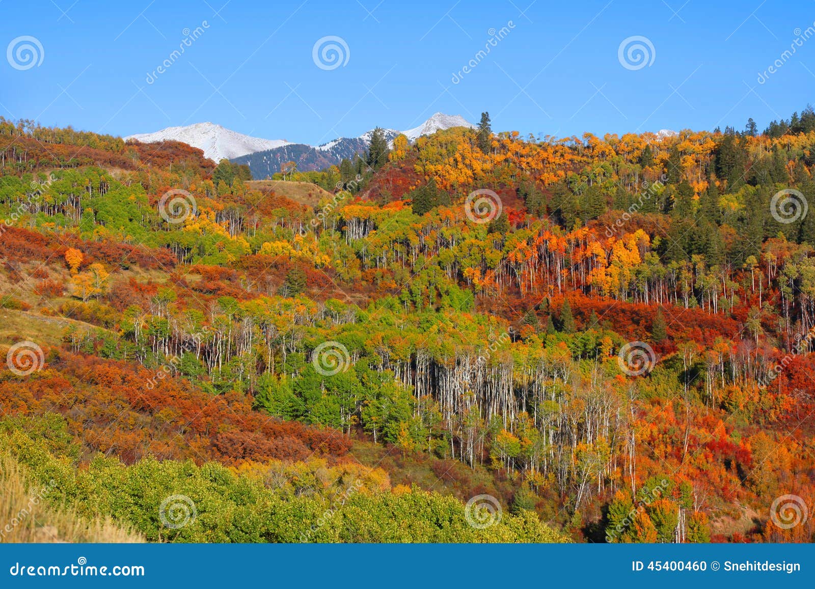Colorado autumn scene stock photo. Image of outdoors - 45400460