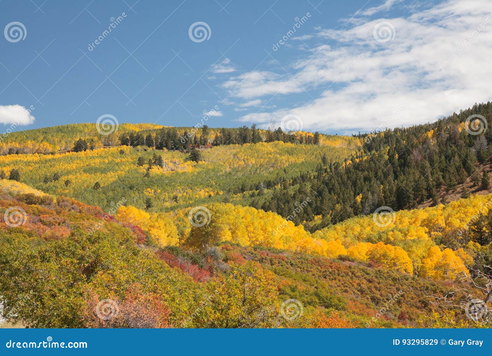 Colorado Autumn Scenery stock afbeelding. Image of john - 93295829