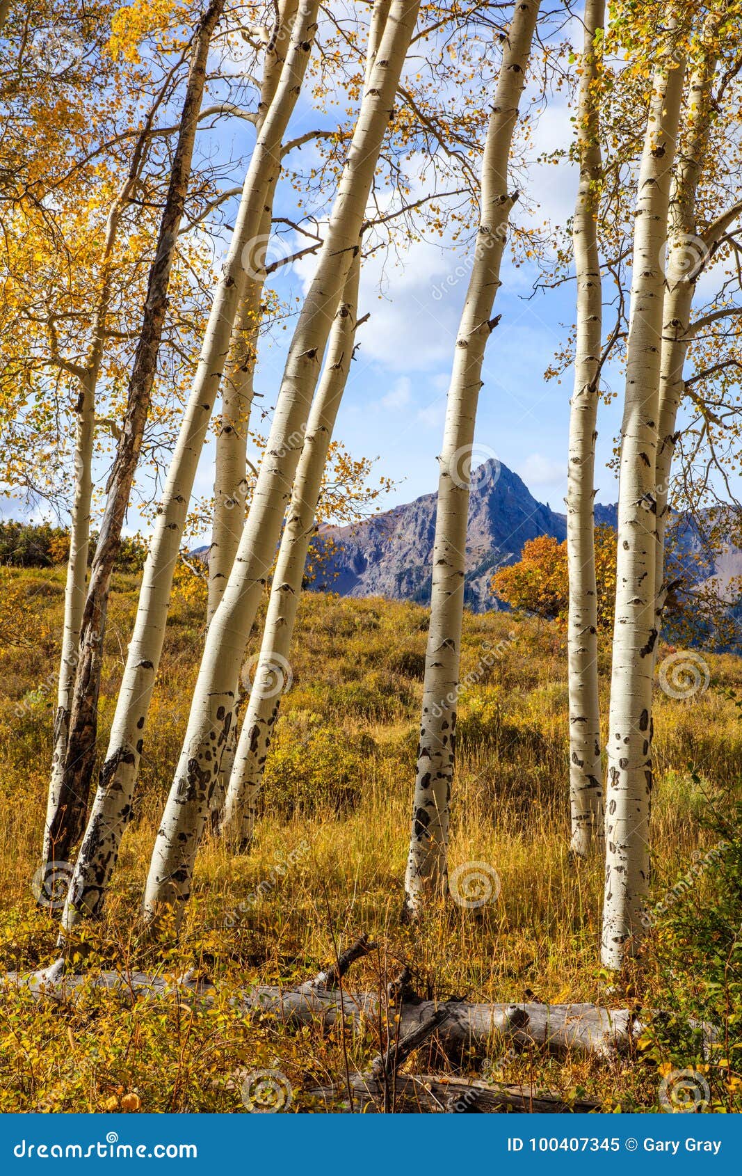 Colorado Autumn Scenery stock image. Image of butte - 100407345