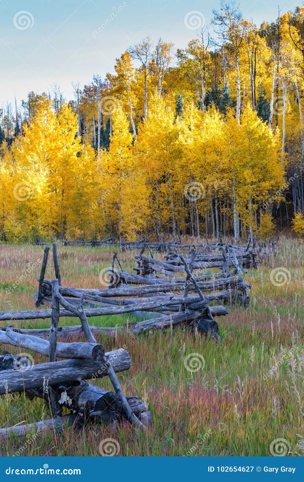Colorado Autumn Scenery stock image. Image of grit, ridgway - 102654627