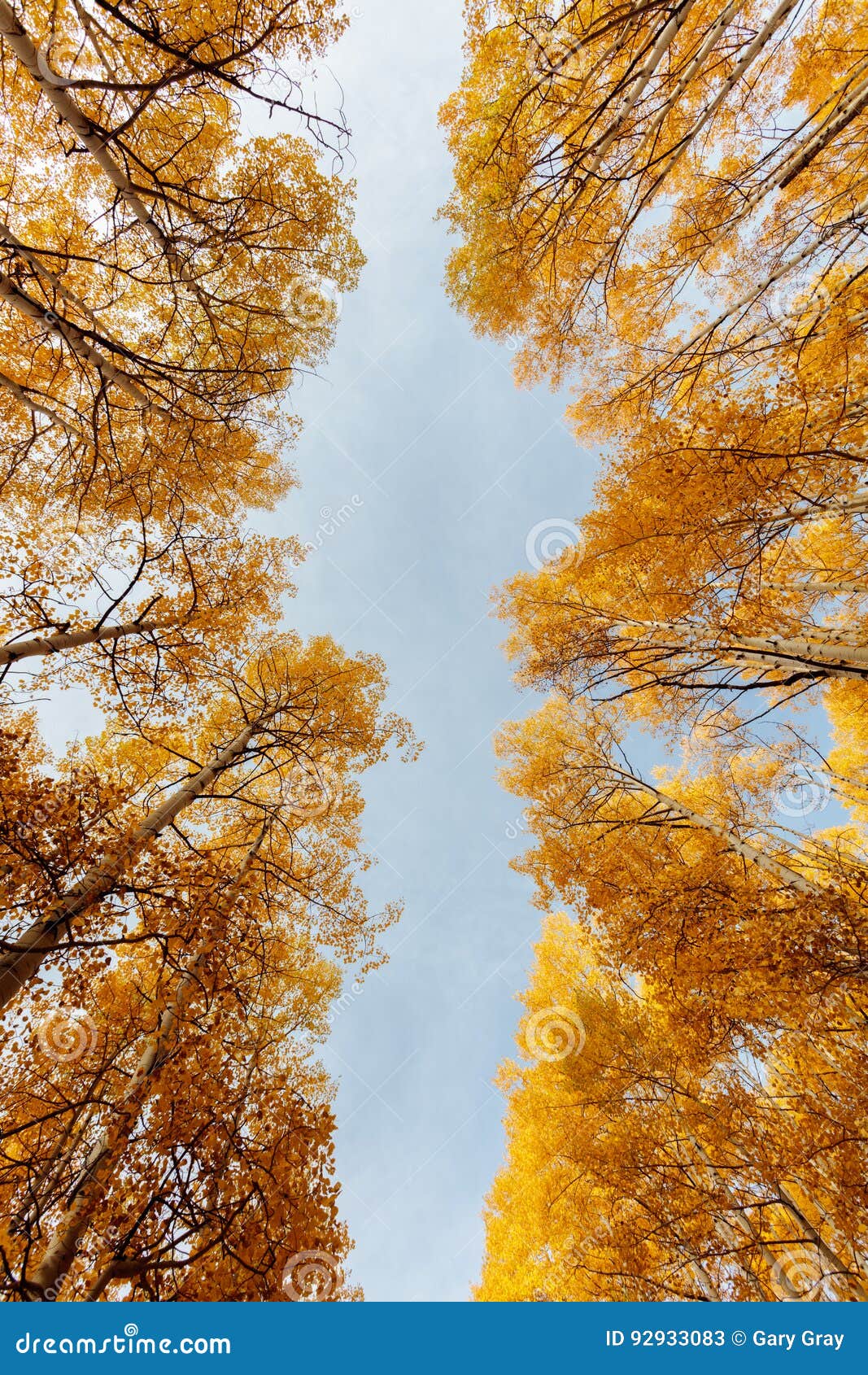 Colorado Autumn Scenery stock image. Image of juan, prominant - 92933083