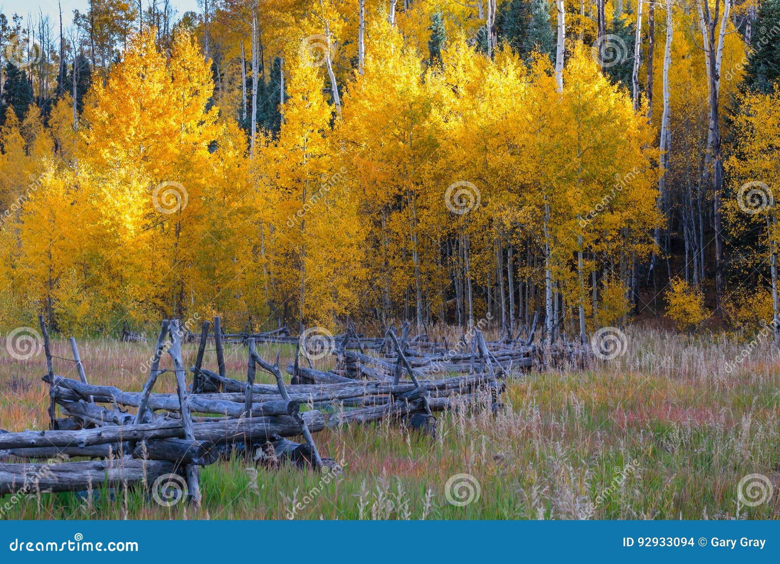 Colorado Autumn Scenery stock photo. Image of chimney - 92933094