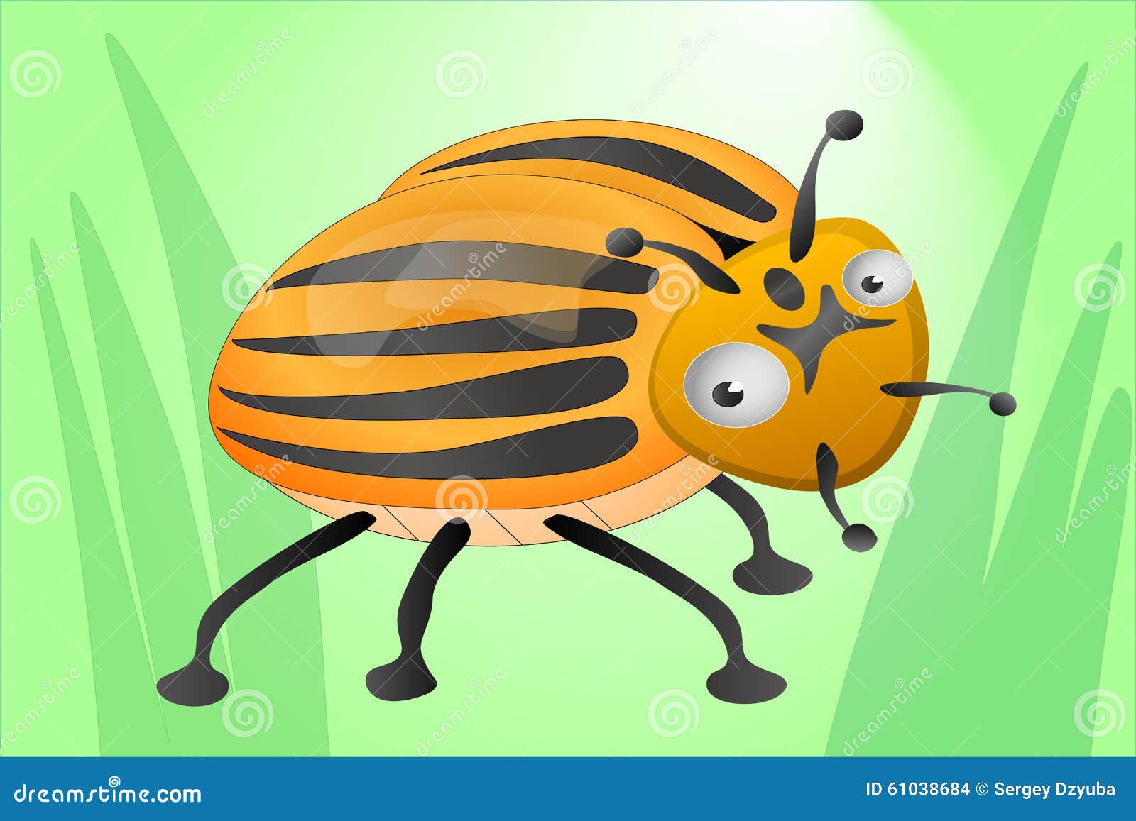 Colorado Beetle, Potato Bug Realistic Striped Pest Vector Illustration ...