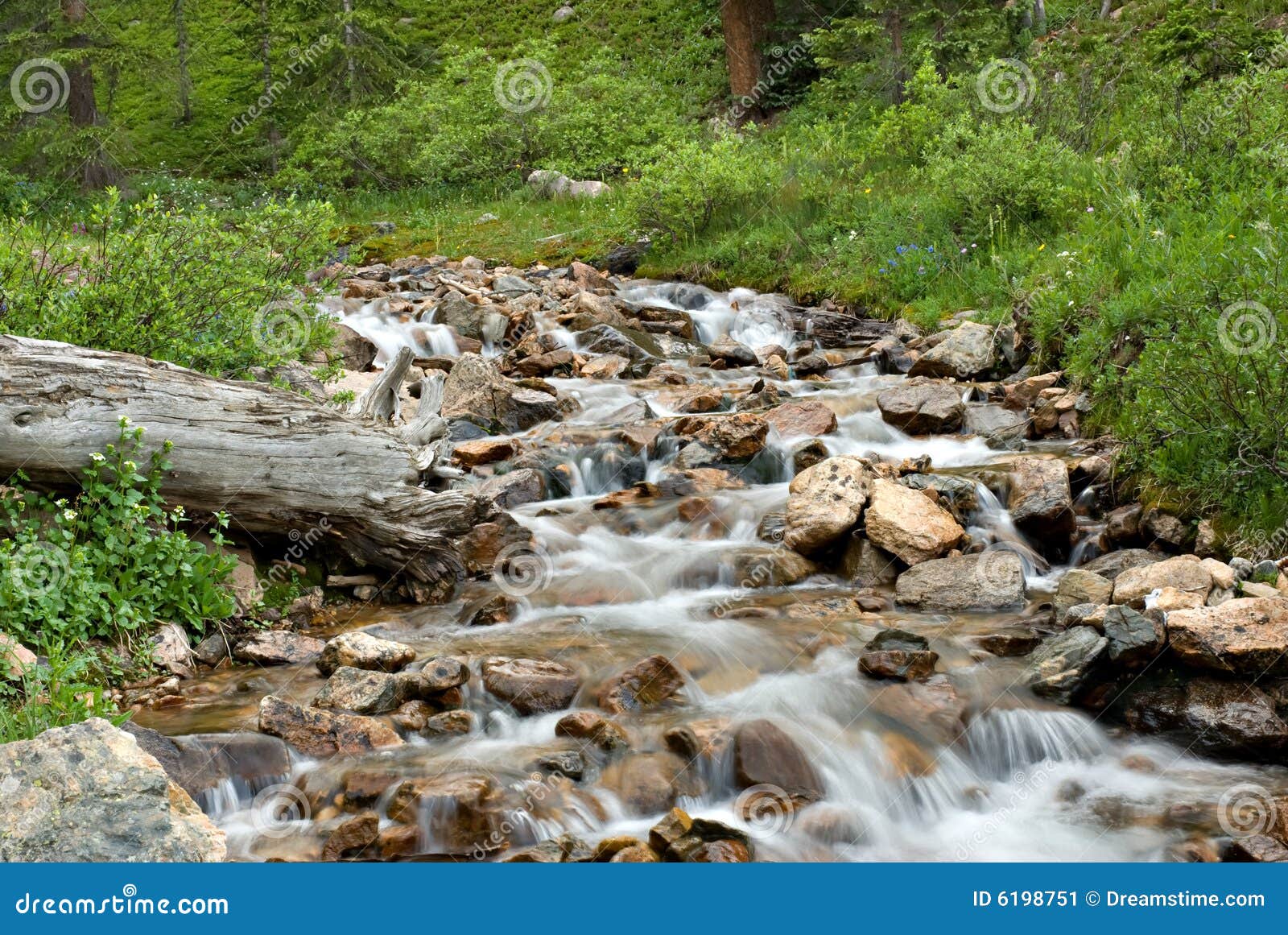 Colorado Cascade stock image. Image of scene, green, flowing - 6198751