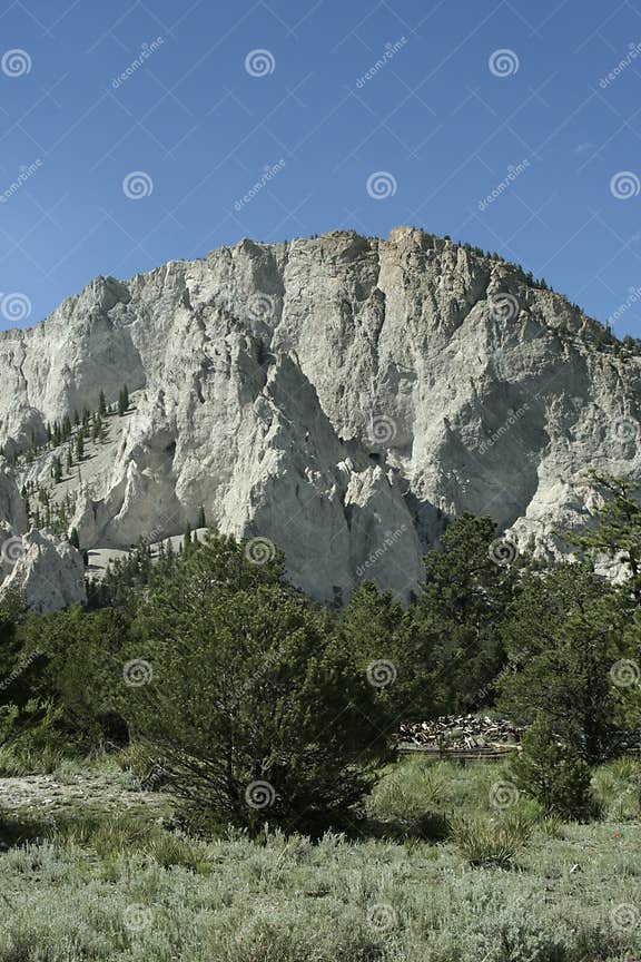 Colorado Chalk Cliffs stock image. Image of pine, white - 14983875