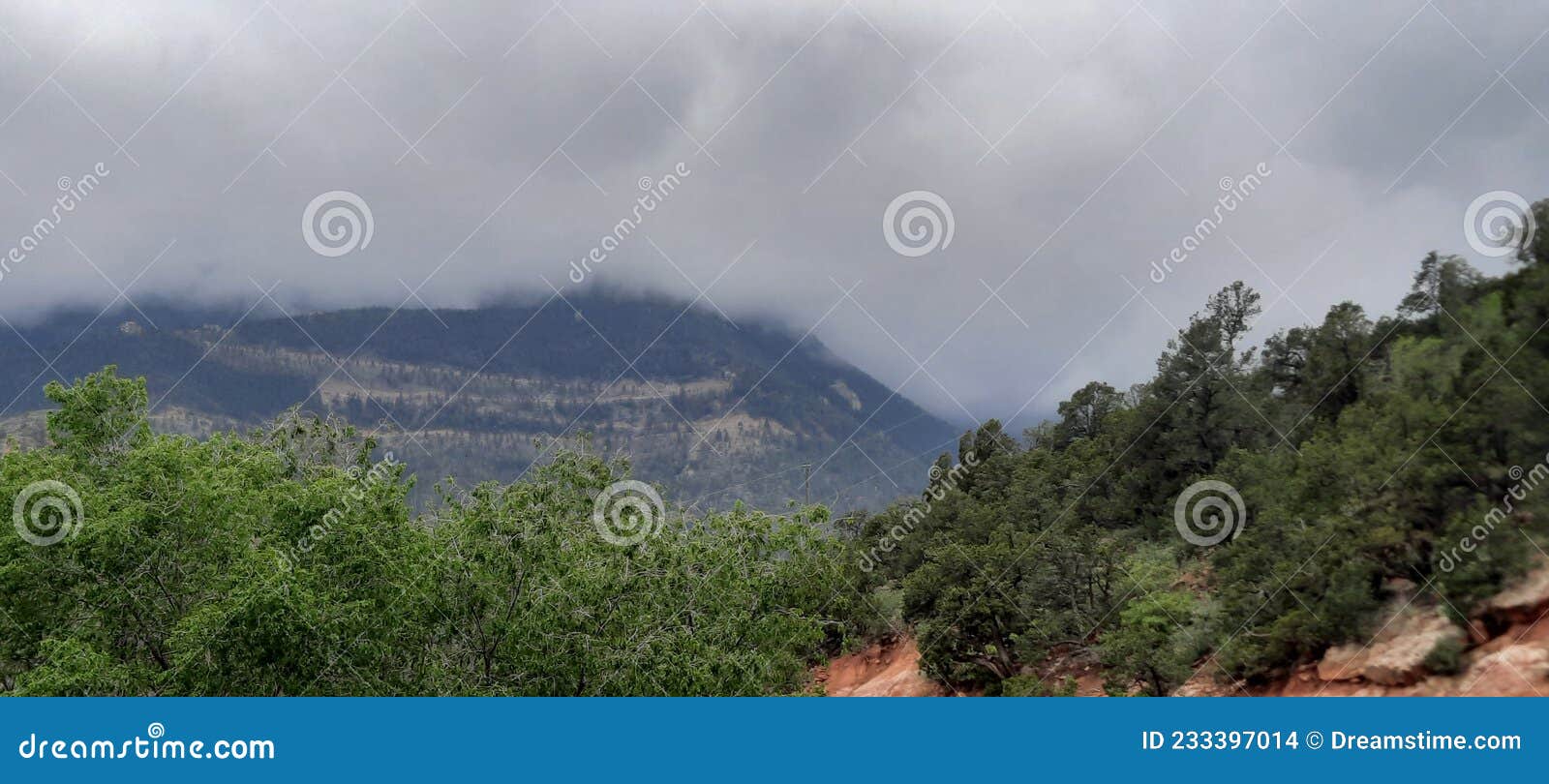 Colorado cliff dwellings stock photo. Image of wilderness - 233397014