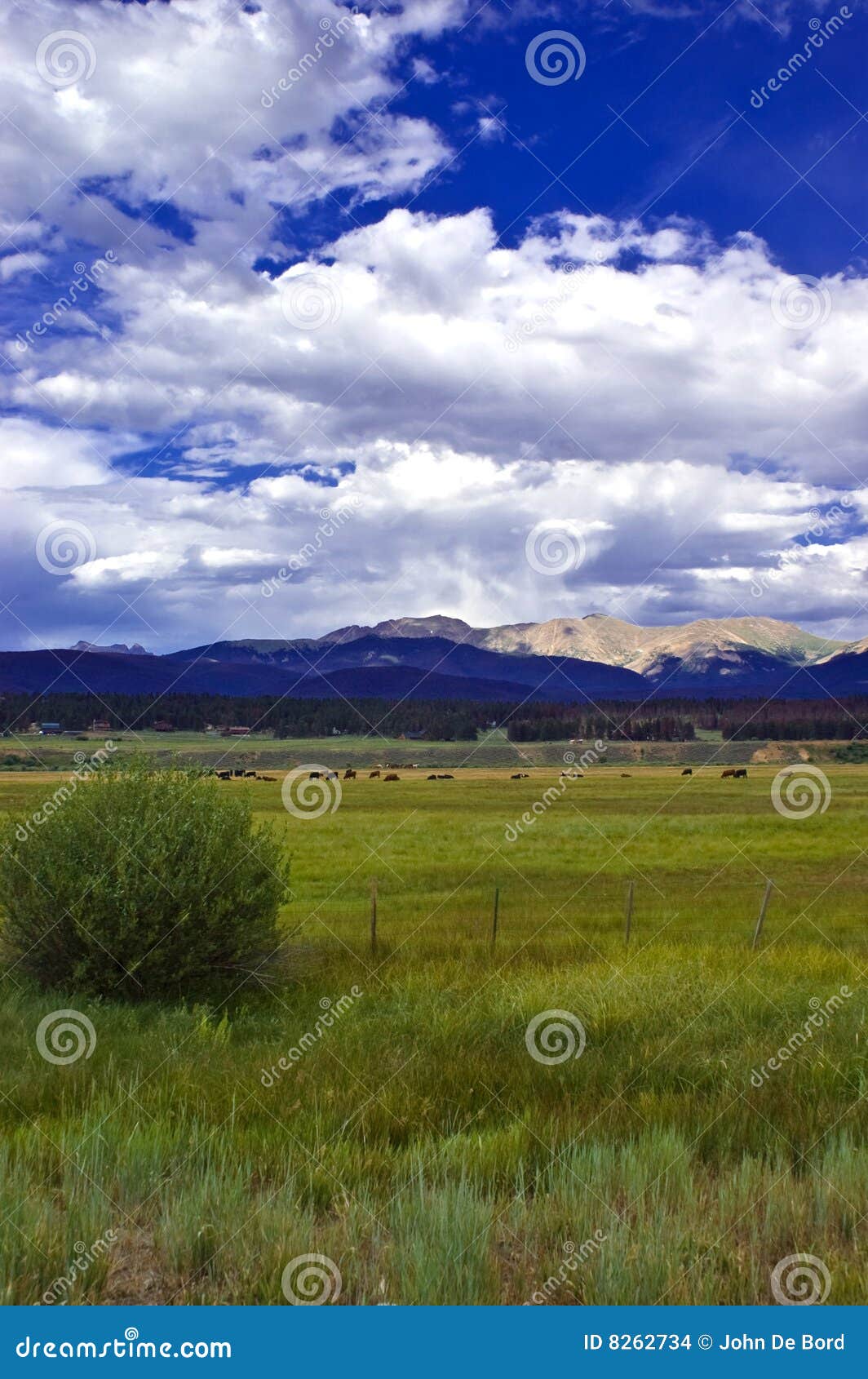 Colorado Country stock photo. Image of american, park - 8262734