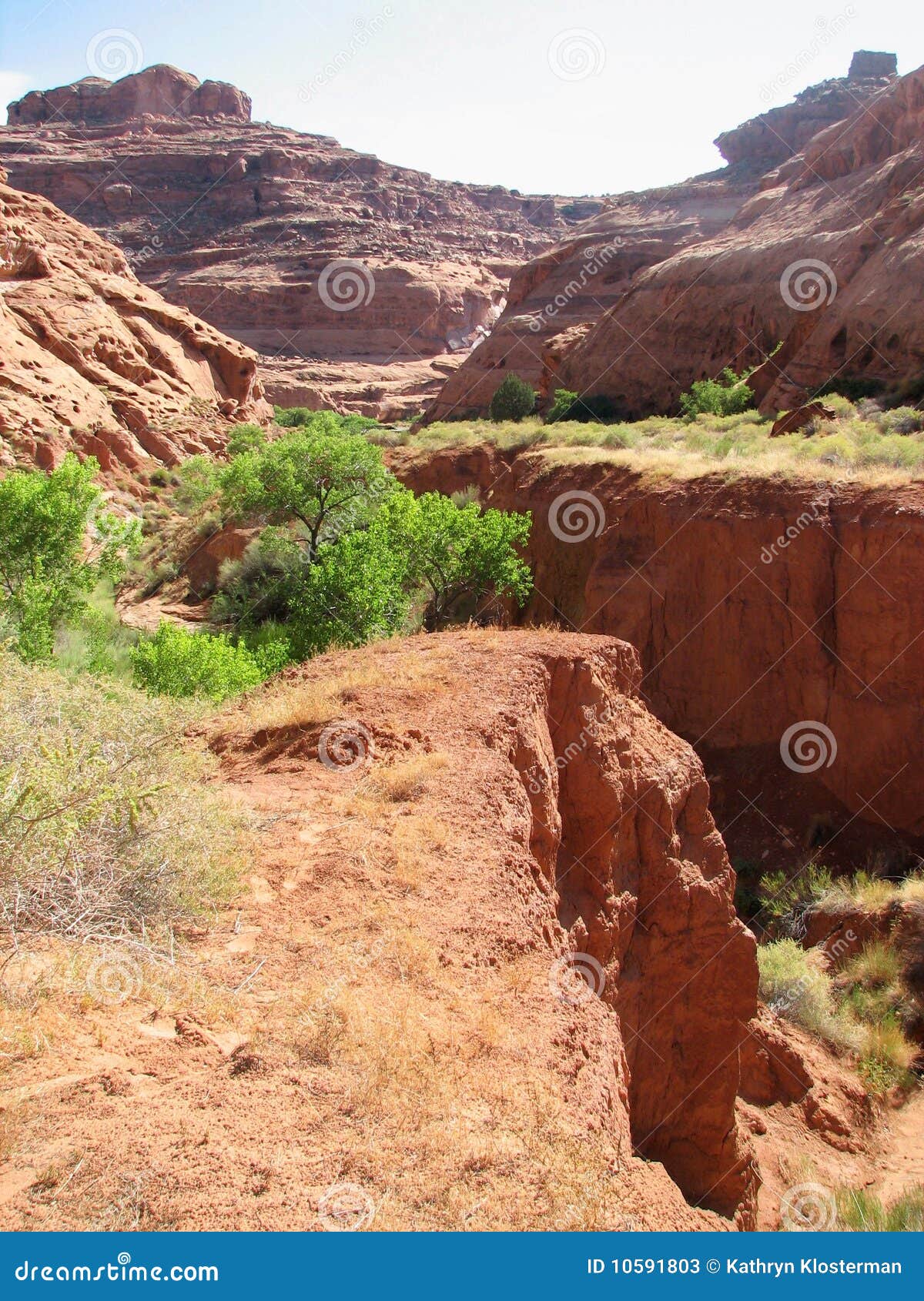 Colorado desert stock image. Image of shrubs, desolate - 10591803