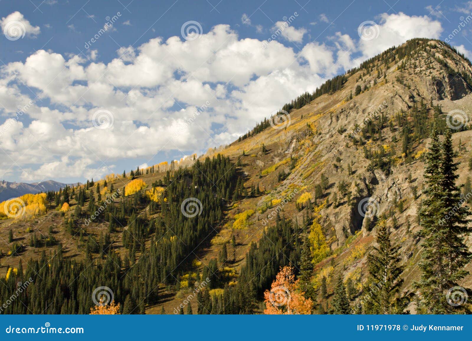 Colorado Fall landscape stock photo. Image of natural - 11971978