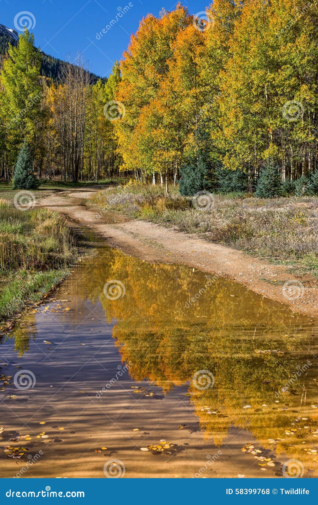 Colorado Fall Landscape Reflection Stock Photo - Image of beauty ...