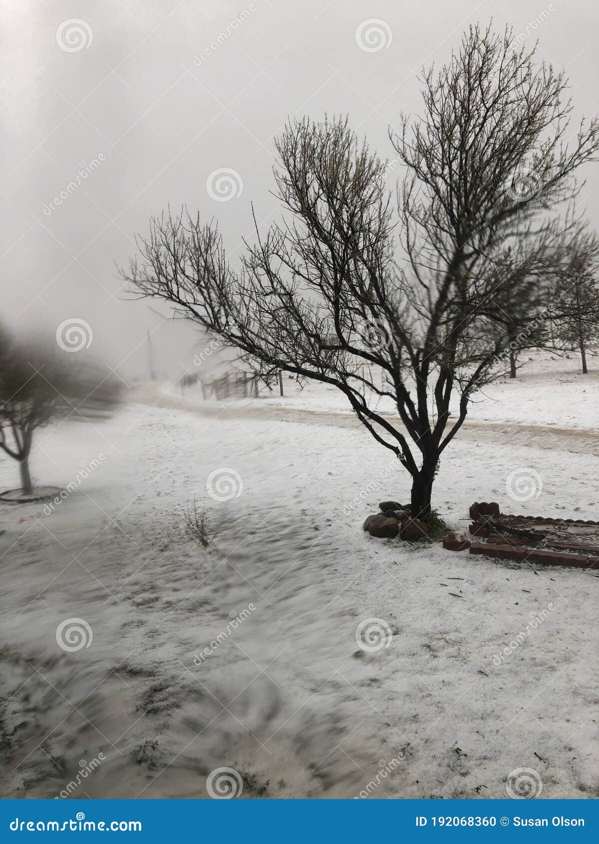 Colorado Hail Storm stock photo. Image of time, spring - 192068360