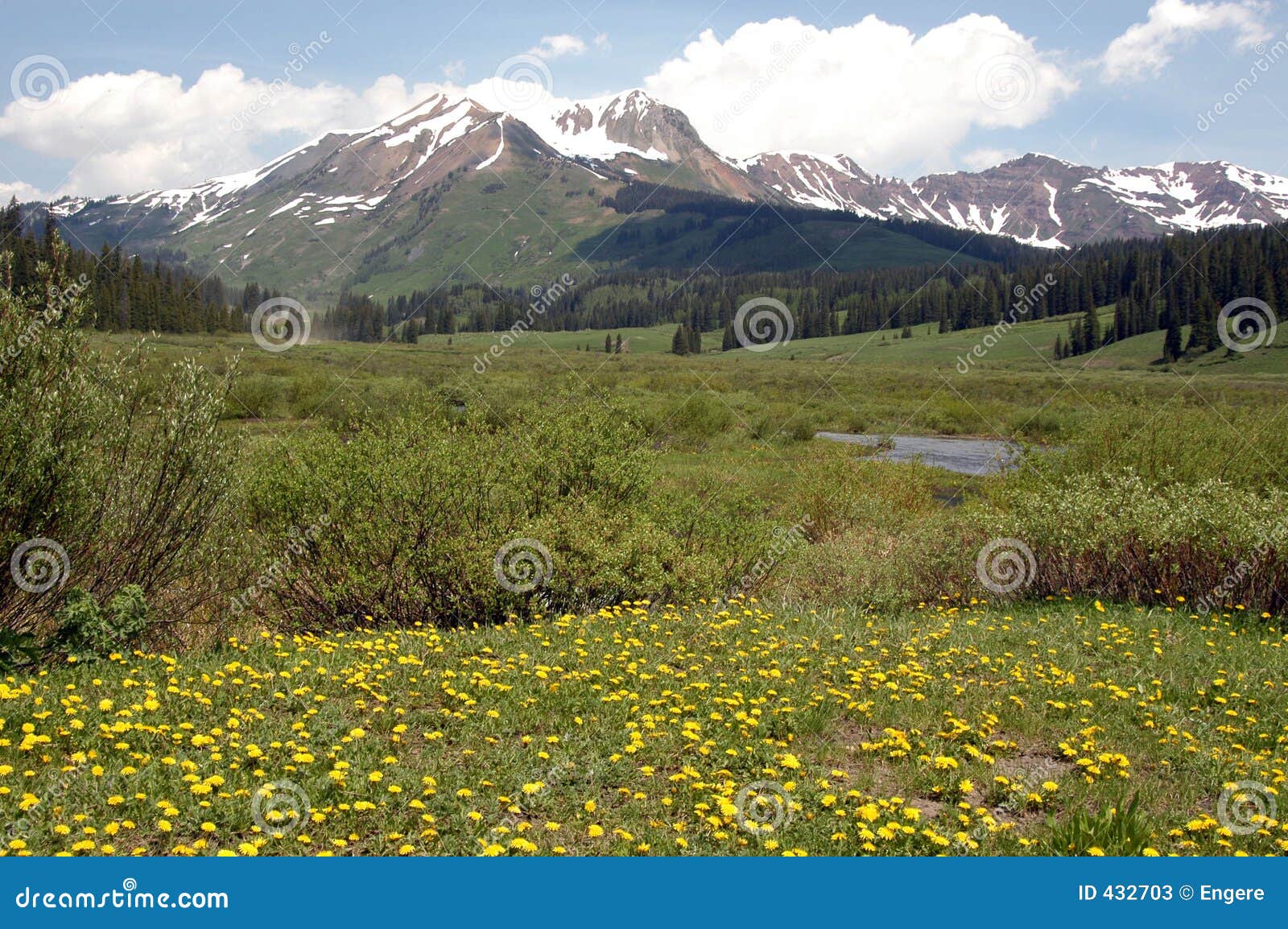 Colorado Meadow & Mountain Stock Image - Image of walk, landscape: 432703