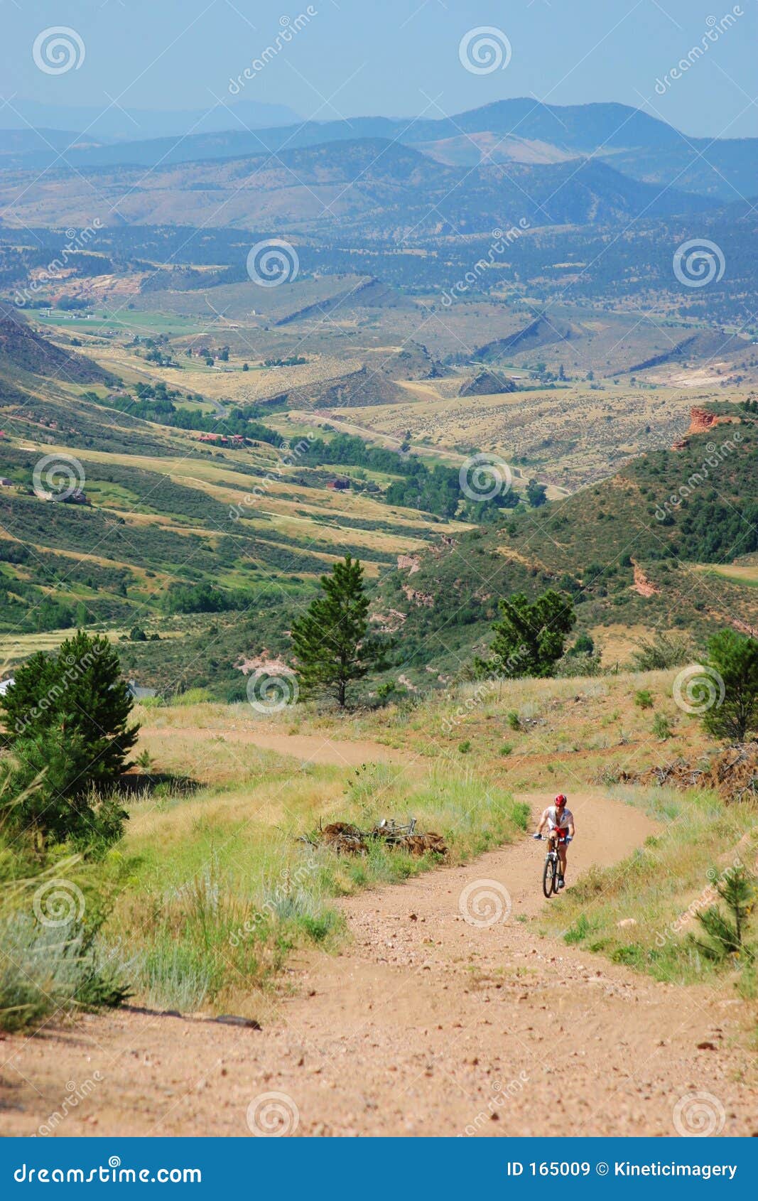 Colorado Mountain Bike Ride Stock Image - Image of downhill, haste: 165009
