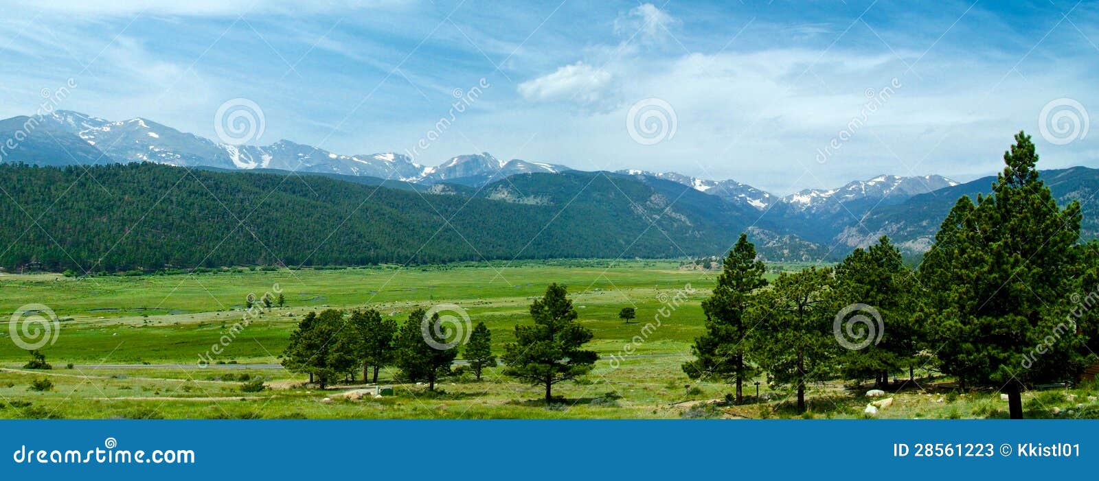Colorado Mountain Meadow stock image. Image of meadow - 28561223