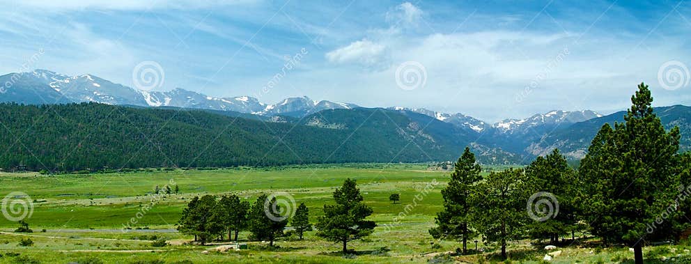 Colorado Mountain Meadow stock image. Image of meadow - 28561223