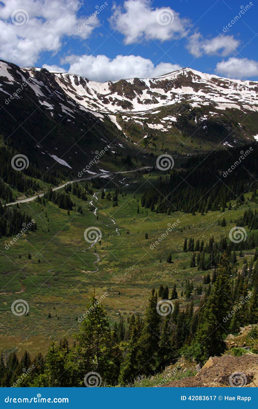 Colorado Mountain Range stock image. Image of green, vacation - 42083617