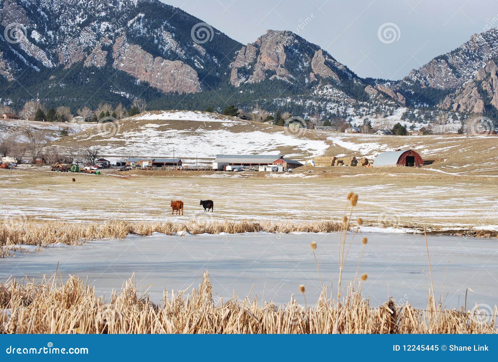 Colorado Mountain Scene stock image. Image of snow, outdoor - 12245445