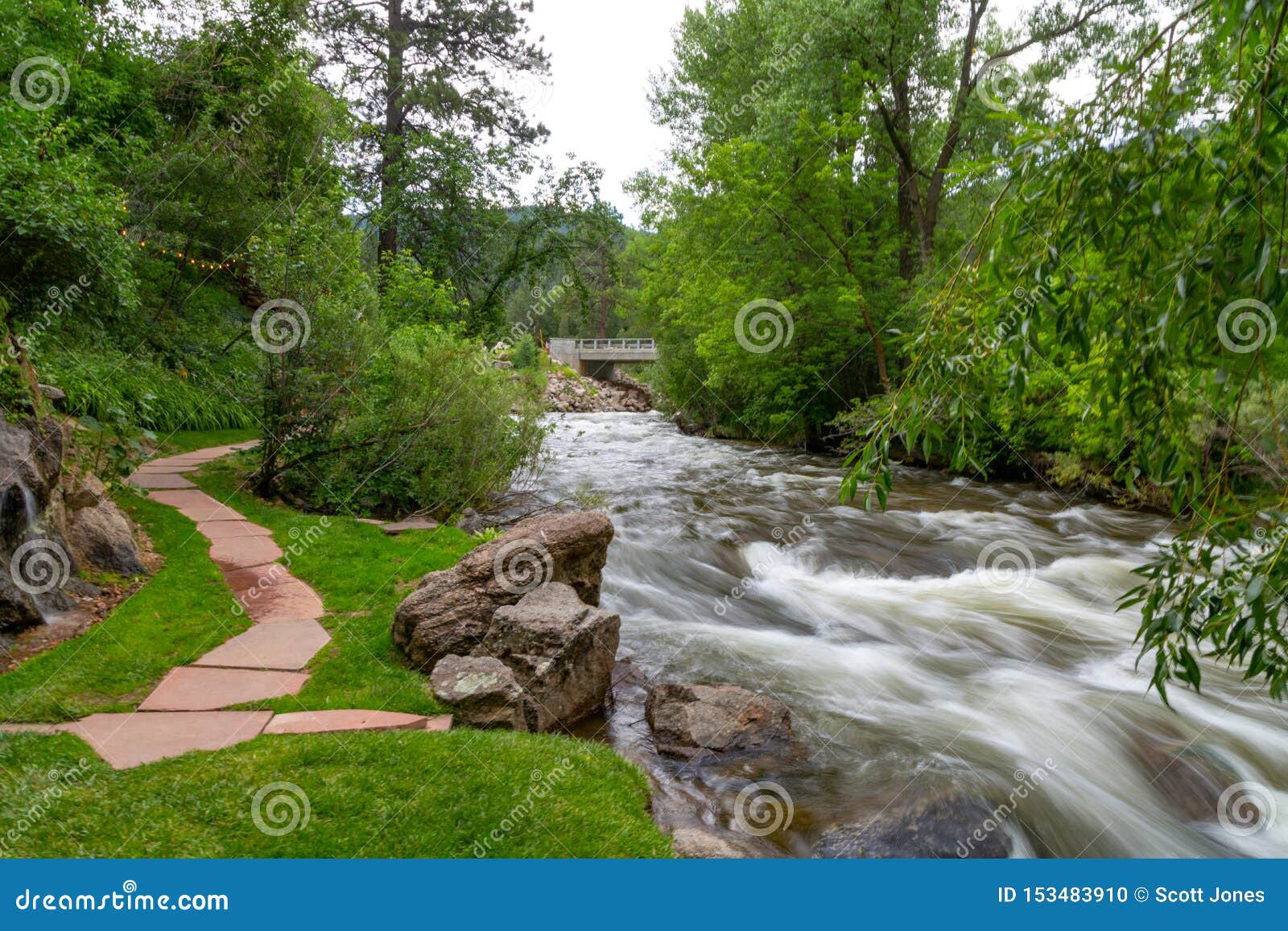 Colorado Mountain Spring stock photo. Image of water - 153483910