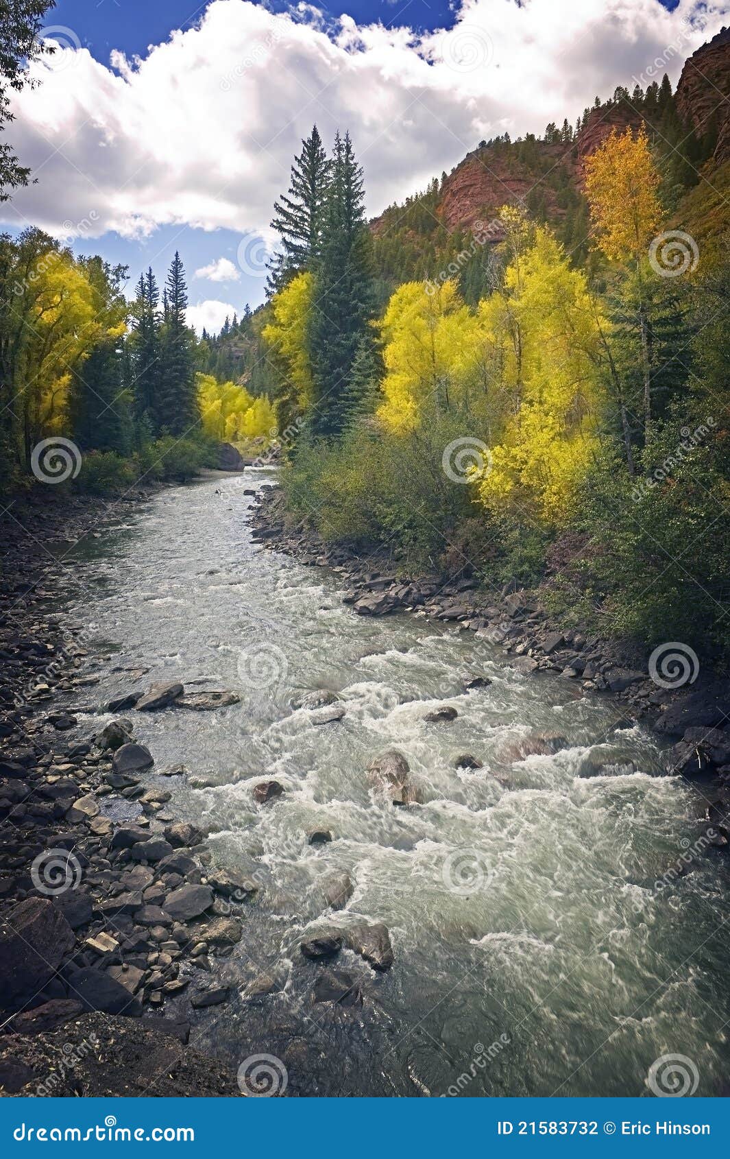 Mountain Stream On Mossy Boulders In Summer Rainforest. Alpine Cascade ...