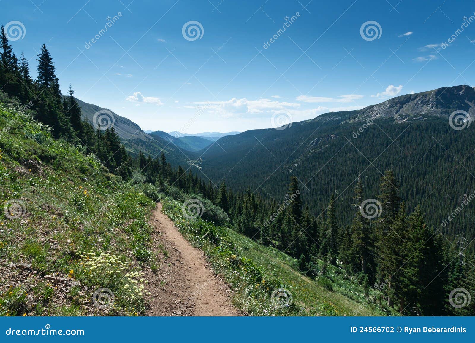 Colorado Mountain Trail stock photo. Image of camping - 24566702