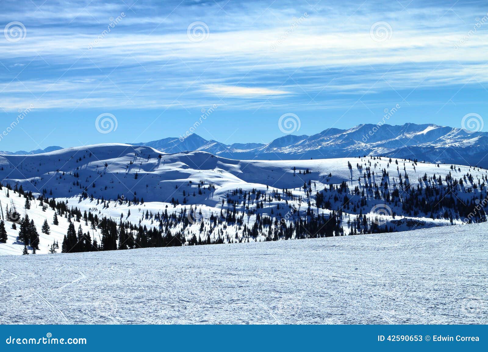 Colorado Mountain View stock image. Image of sunny, pine - 42590653