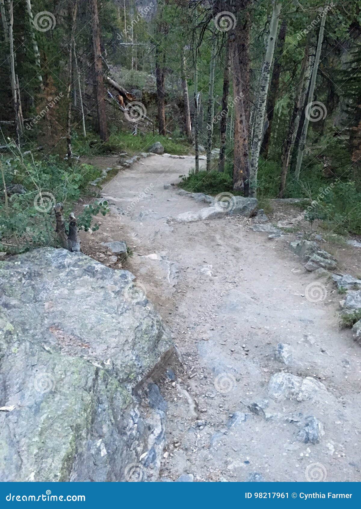 Colorado Mountains Hiking Path or Trail Stock Image - Image of path ...