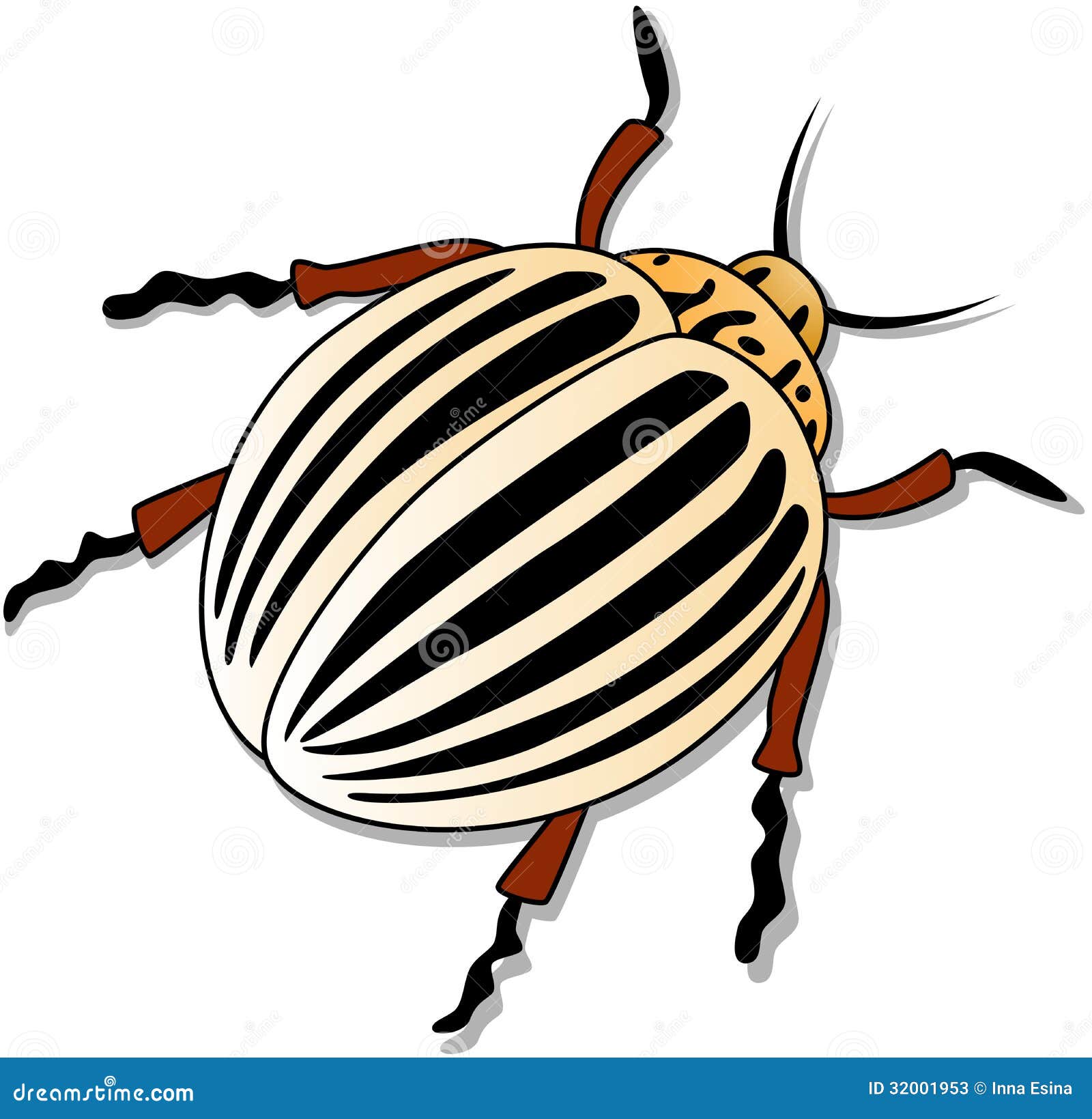 Set With Potato Beetle Imago, Larvae And Potato Flowers. Cartoon Vector ...