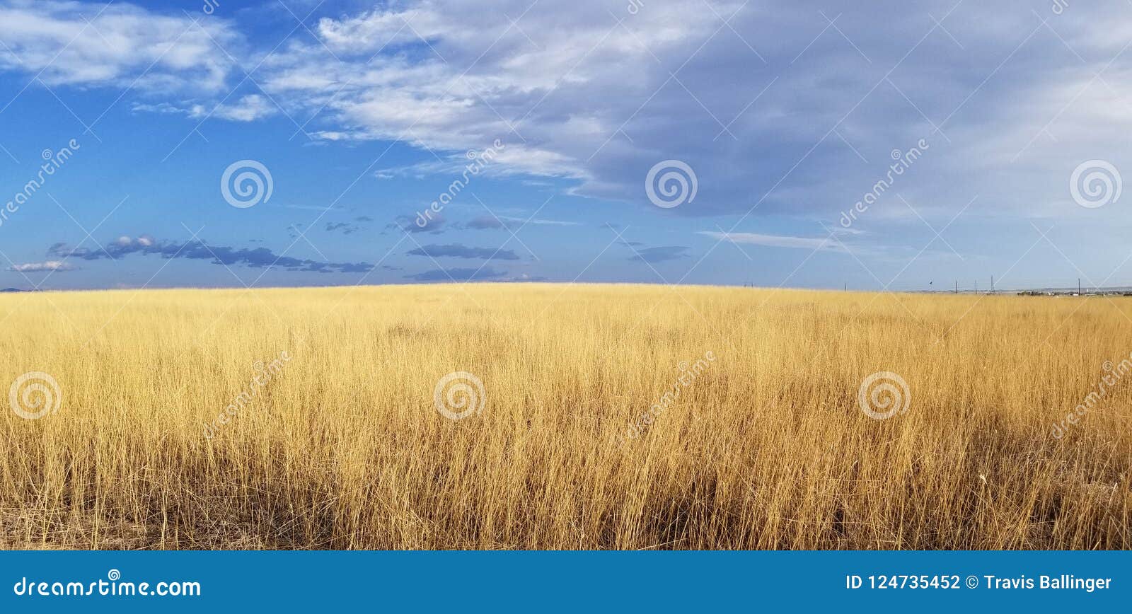 Colorado Prairie High Plains Summer Stock Photo - Image of summer ...