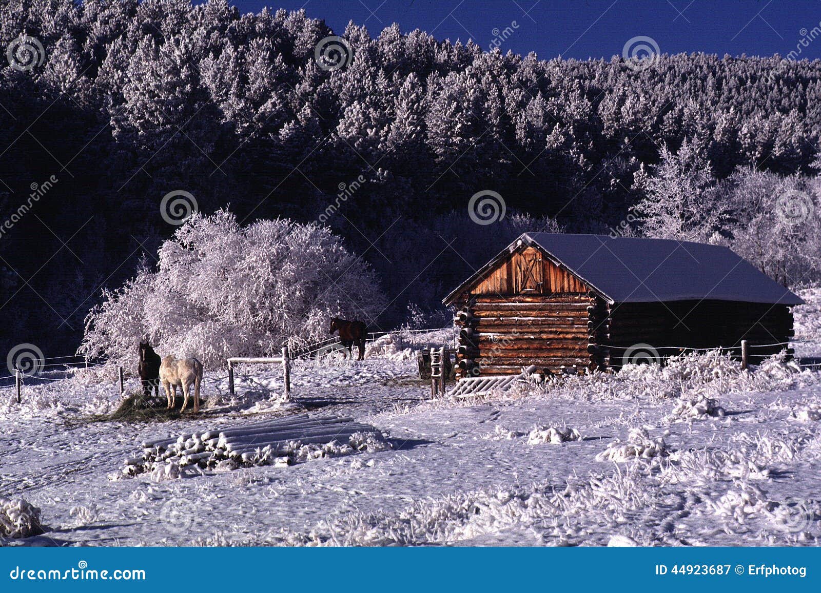 Colorado Ranch in Winter stock image. Image of winter - 44923687