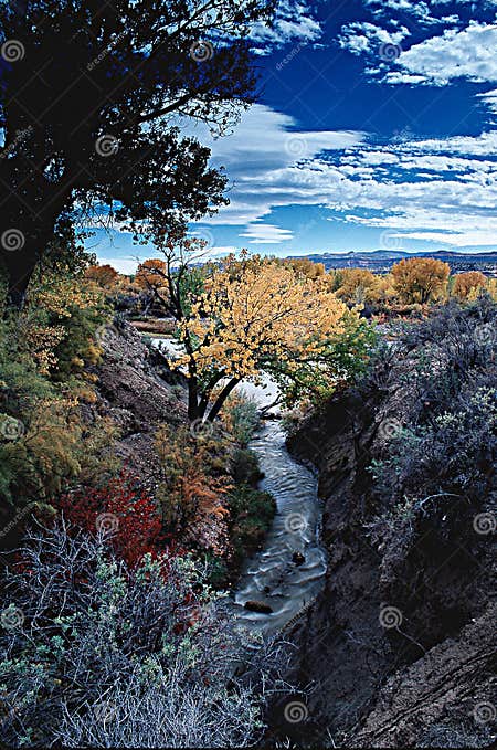 Colorado River stock photo. Image of nature, river, landscapes - 26564