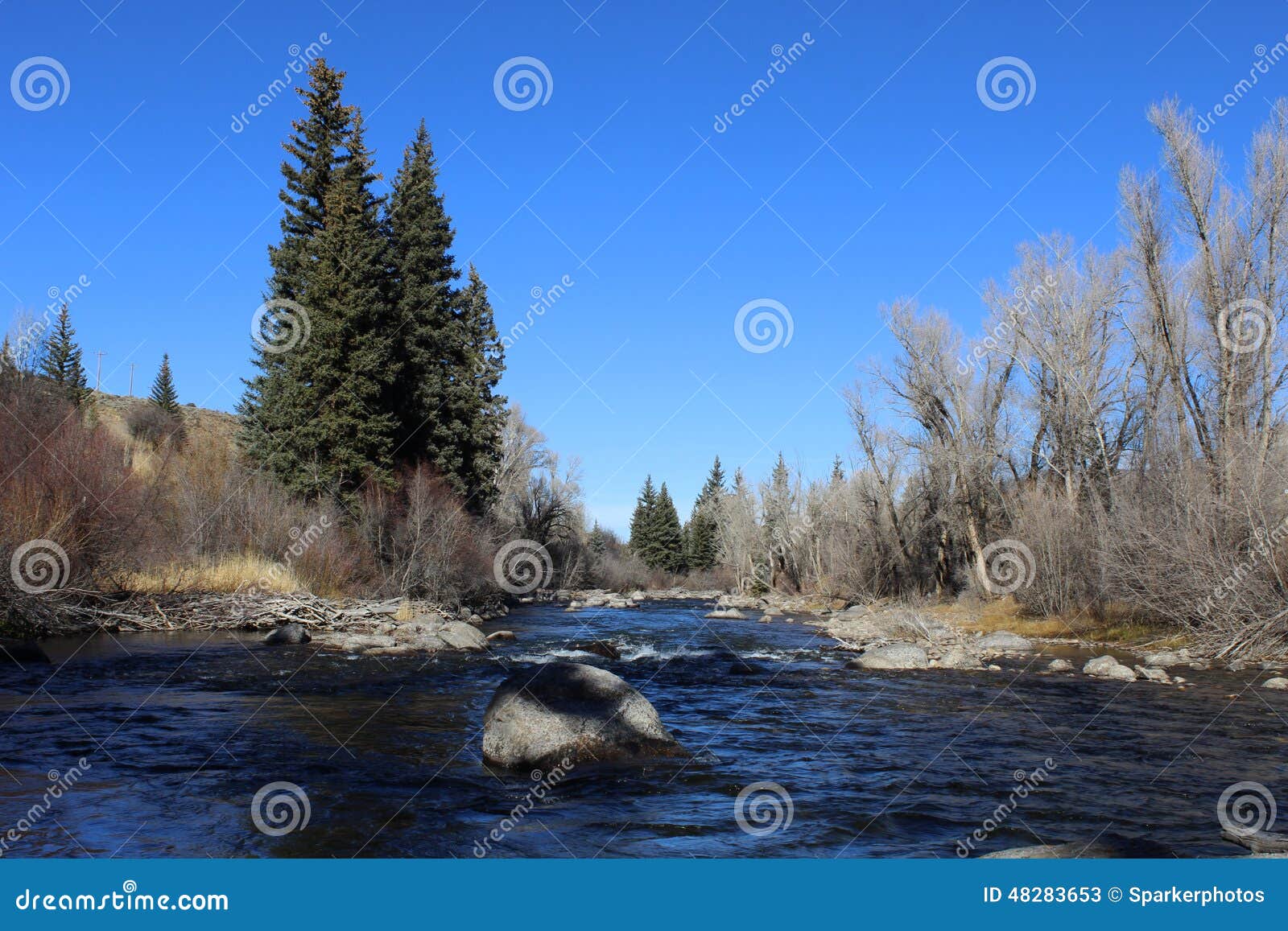 Colorado River stock image. Image of light, shrubbery - 48283653