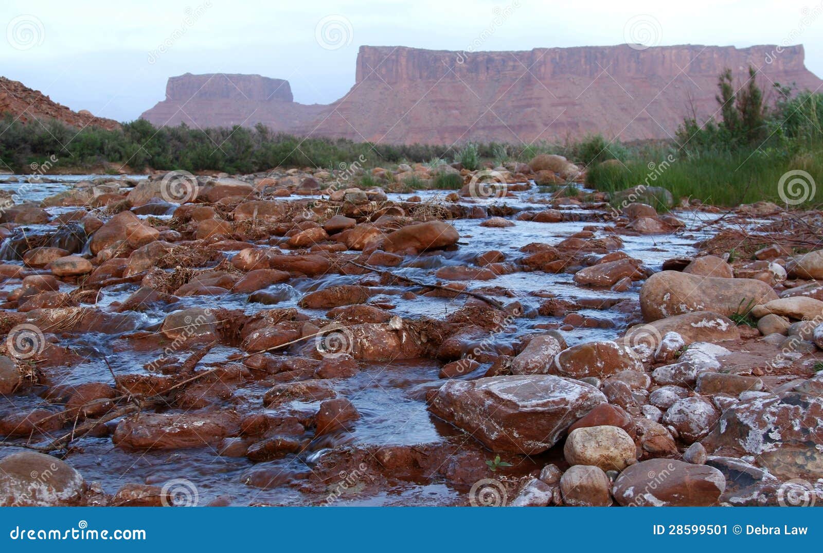 Colorado River, Moab, Utah, USA Stock Image - Image of river, tourism ...