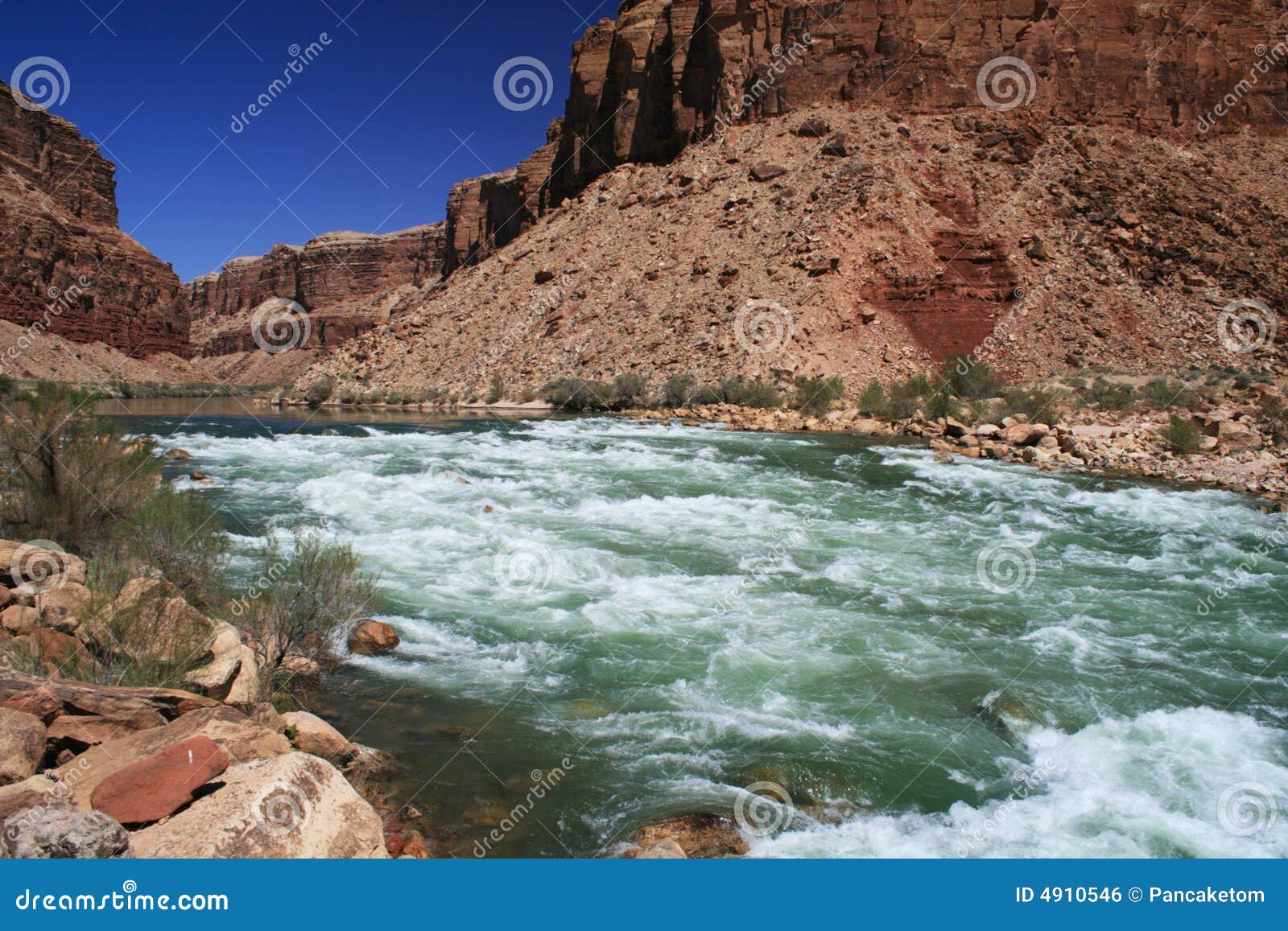 Colorado River rapid stock photo. Image of badger, cliffs - 4910546