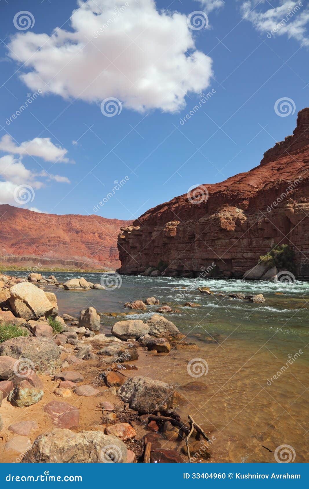 The the Colorado River in the Red Rocks Stock Photo - Image of scene ...
