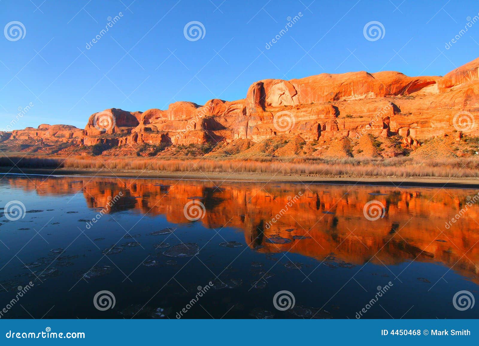 Colorado River Reflections stock photo. Image of canyonlands - 4450468
