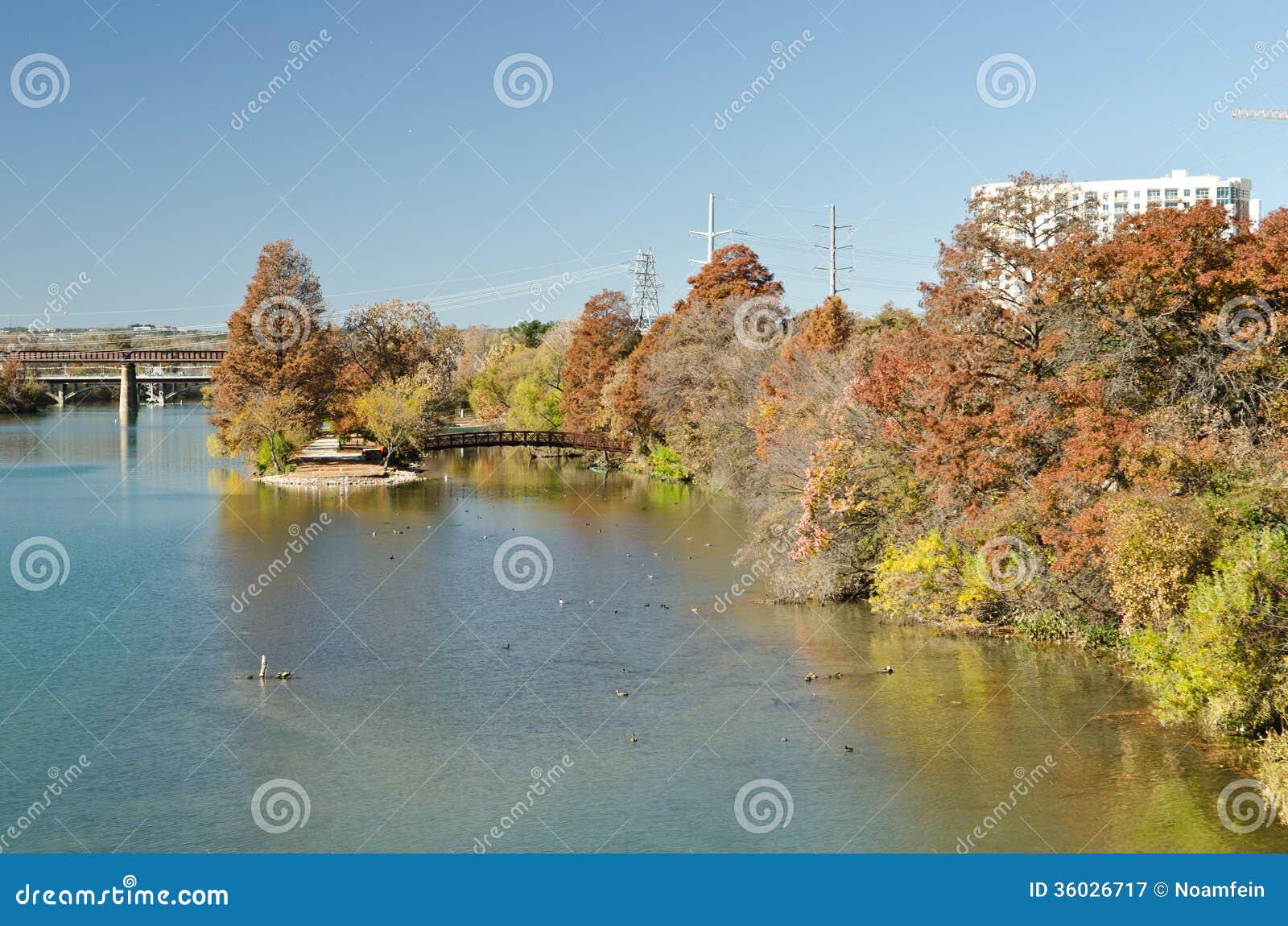Colorado River (Texas) stock image. Image of trees, lake - 36026717