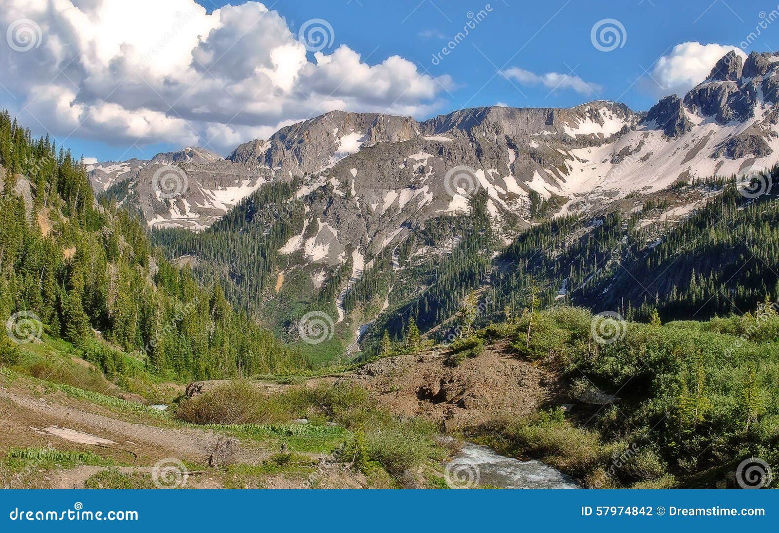 Brook Colorado Hill Pine Stock Photos - Free & Royalty-Free Stock ...