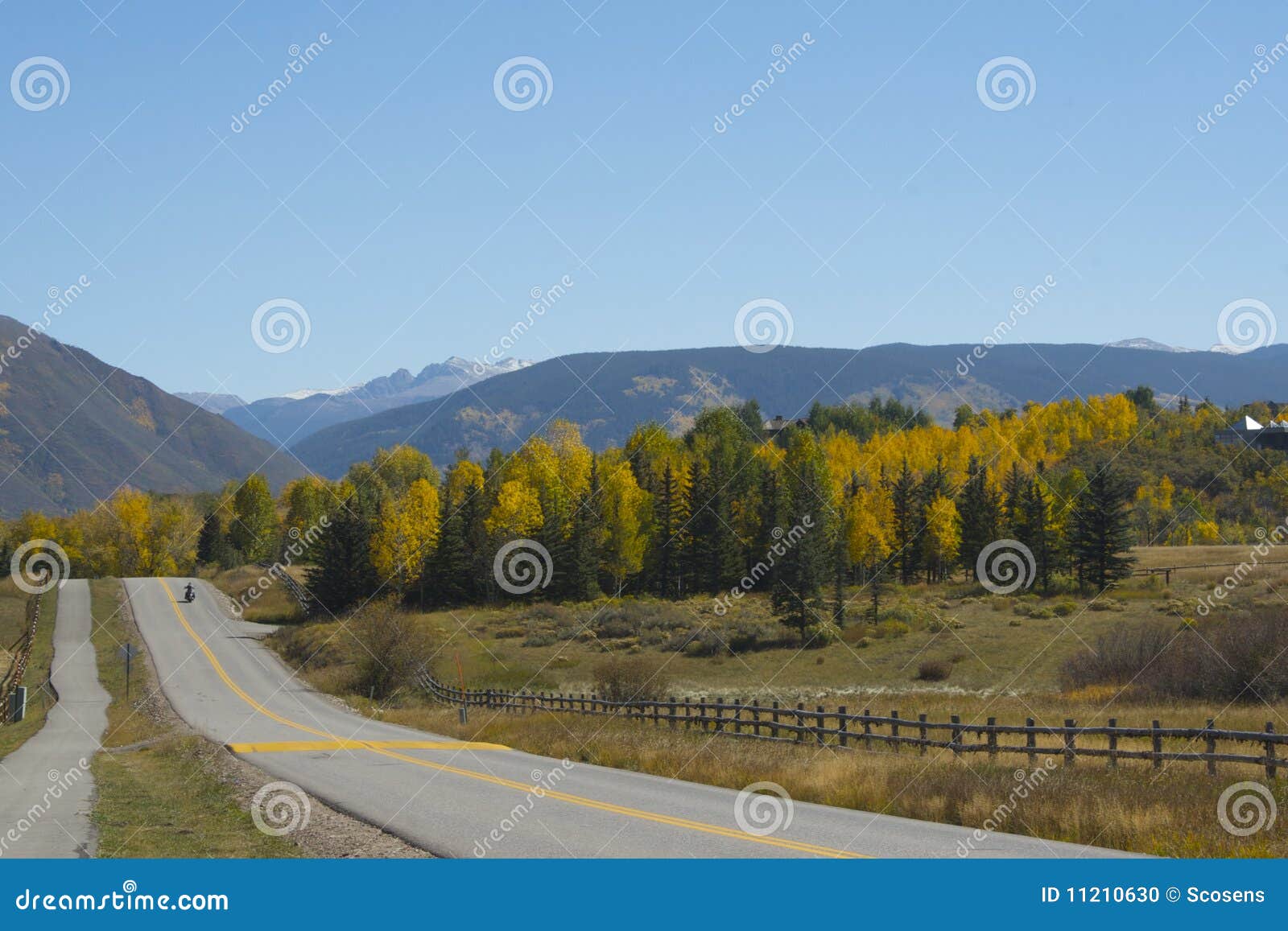 Colorado Scenic Road in Fall Stock Photo - Image of trees, autumn: 11210630