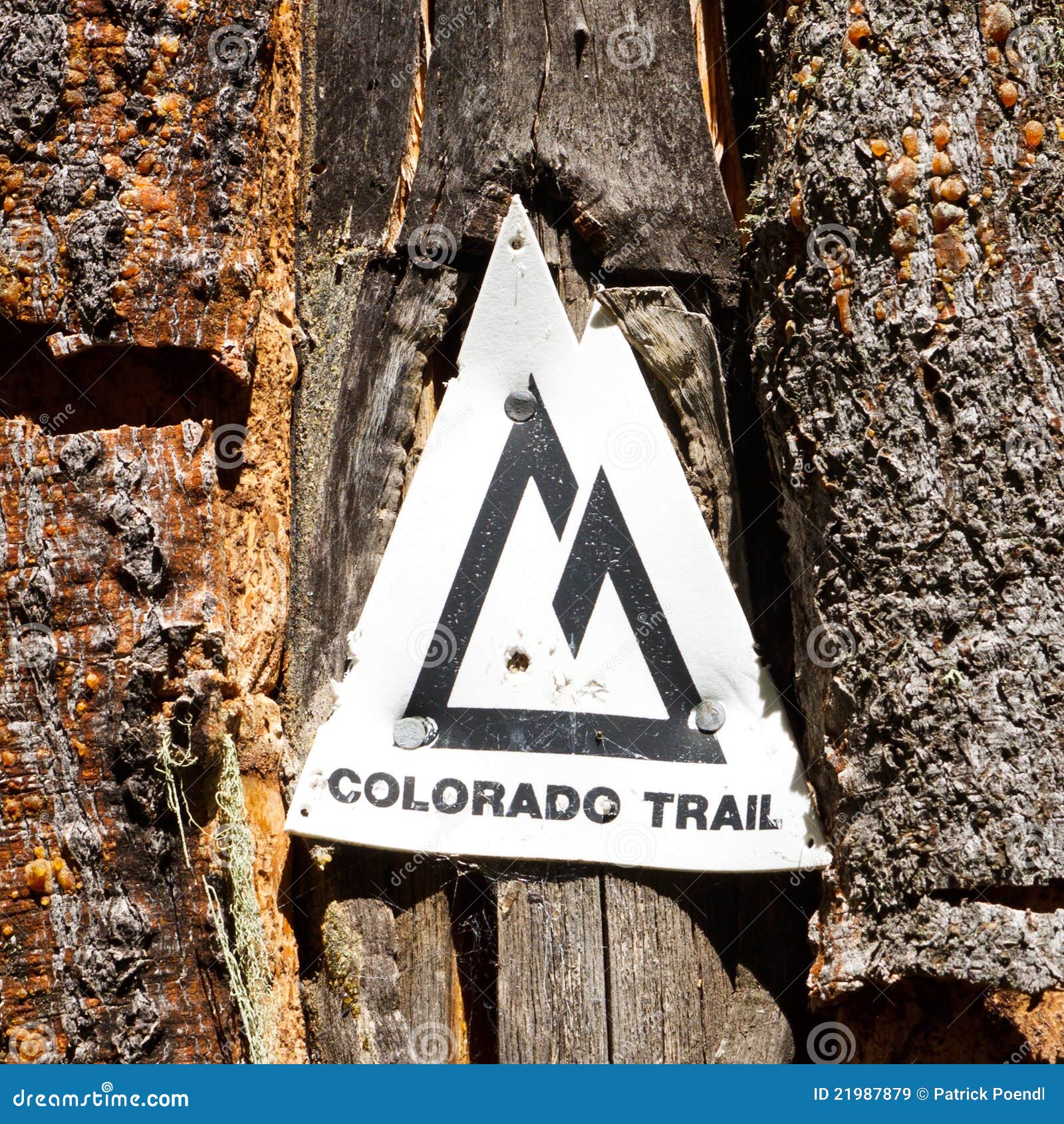 Colorado Trail Marker stock image. Image of bark, sign - 21987879