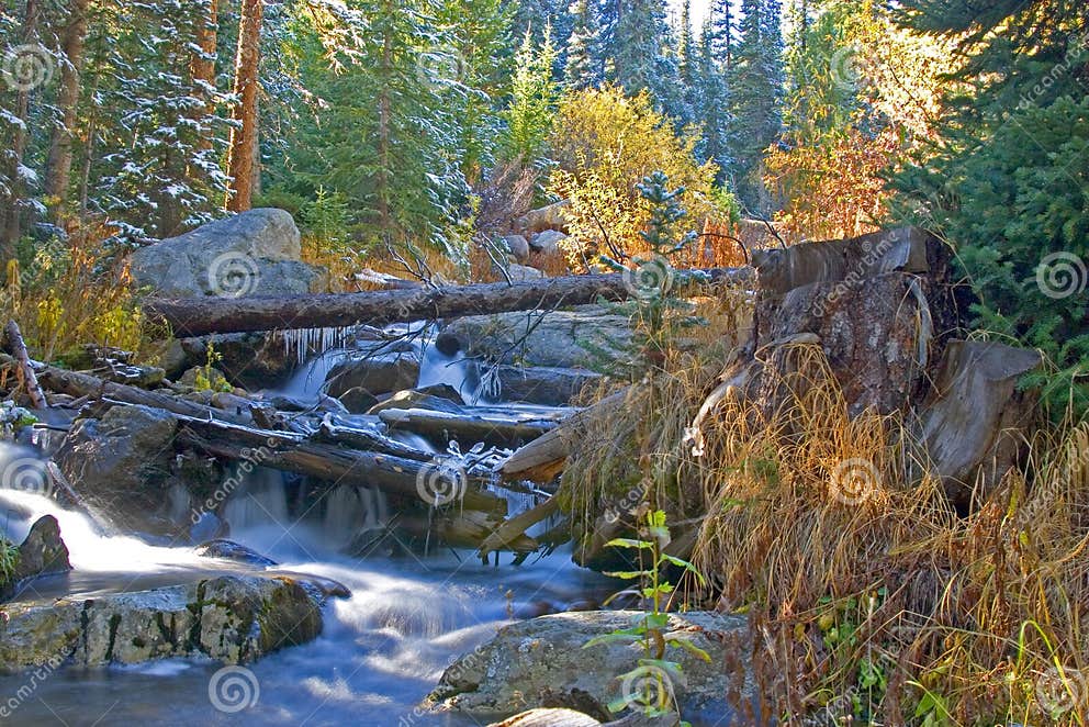 Colorado Wilderness stock image. Image of forest, nature - 1183369