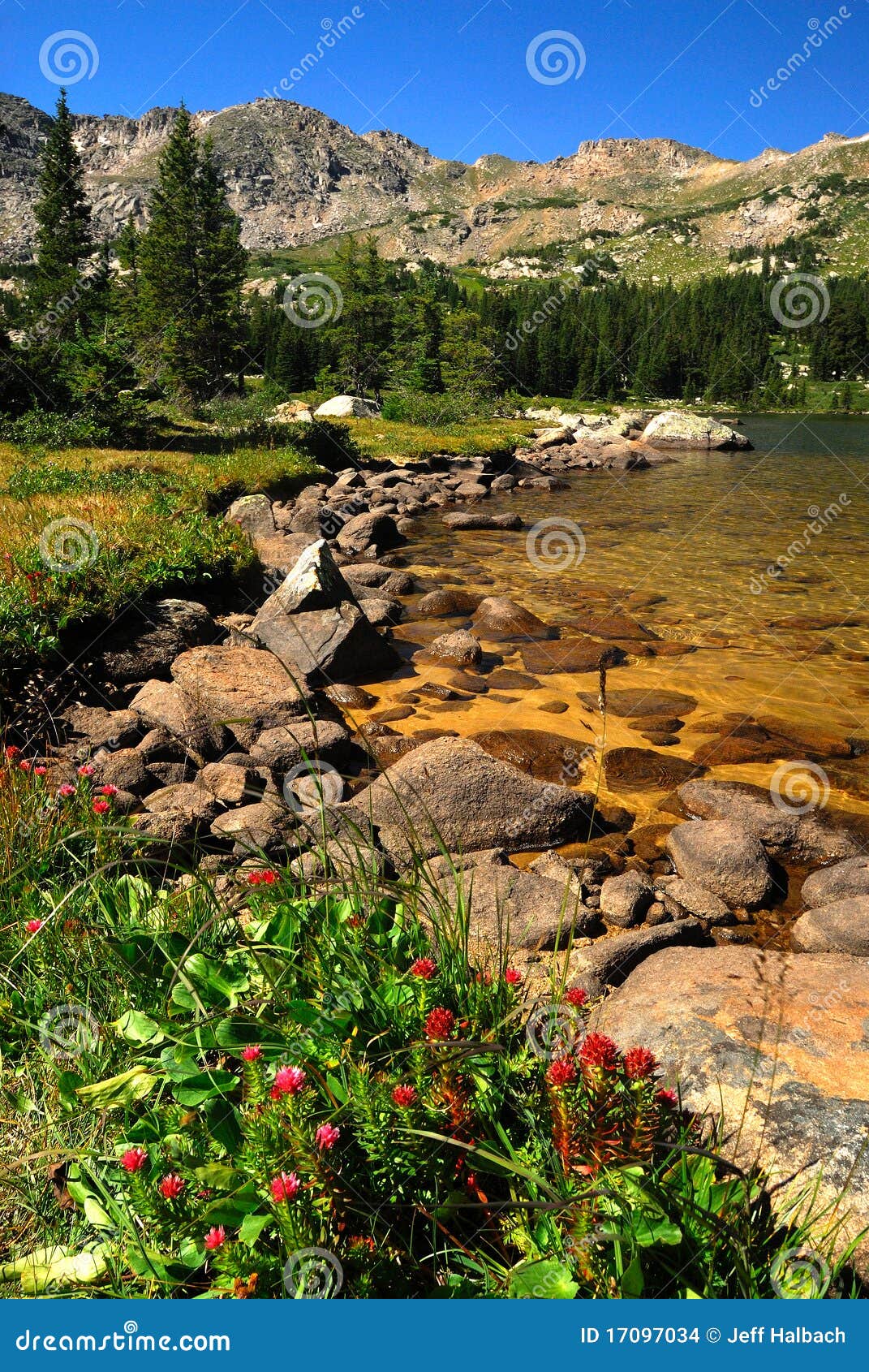 Colorado Wilderness stock photo. Image of blue, back - 17097034