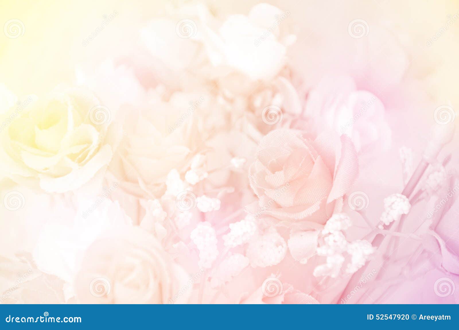 Colore Pastello Di Rose Bouquet Fotografia Stock - Immagine di fiore ...
