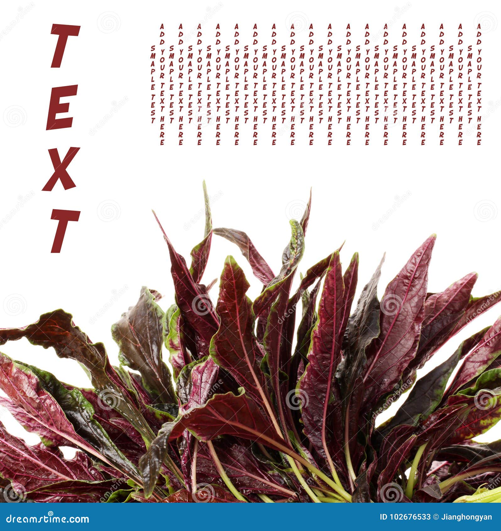 Colored amaranth stock image. Image of healthy, fresh - 102676533