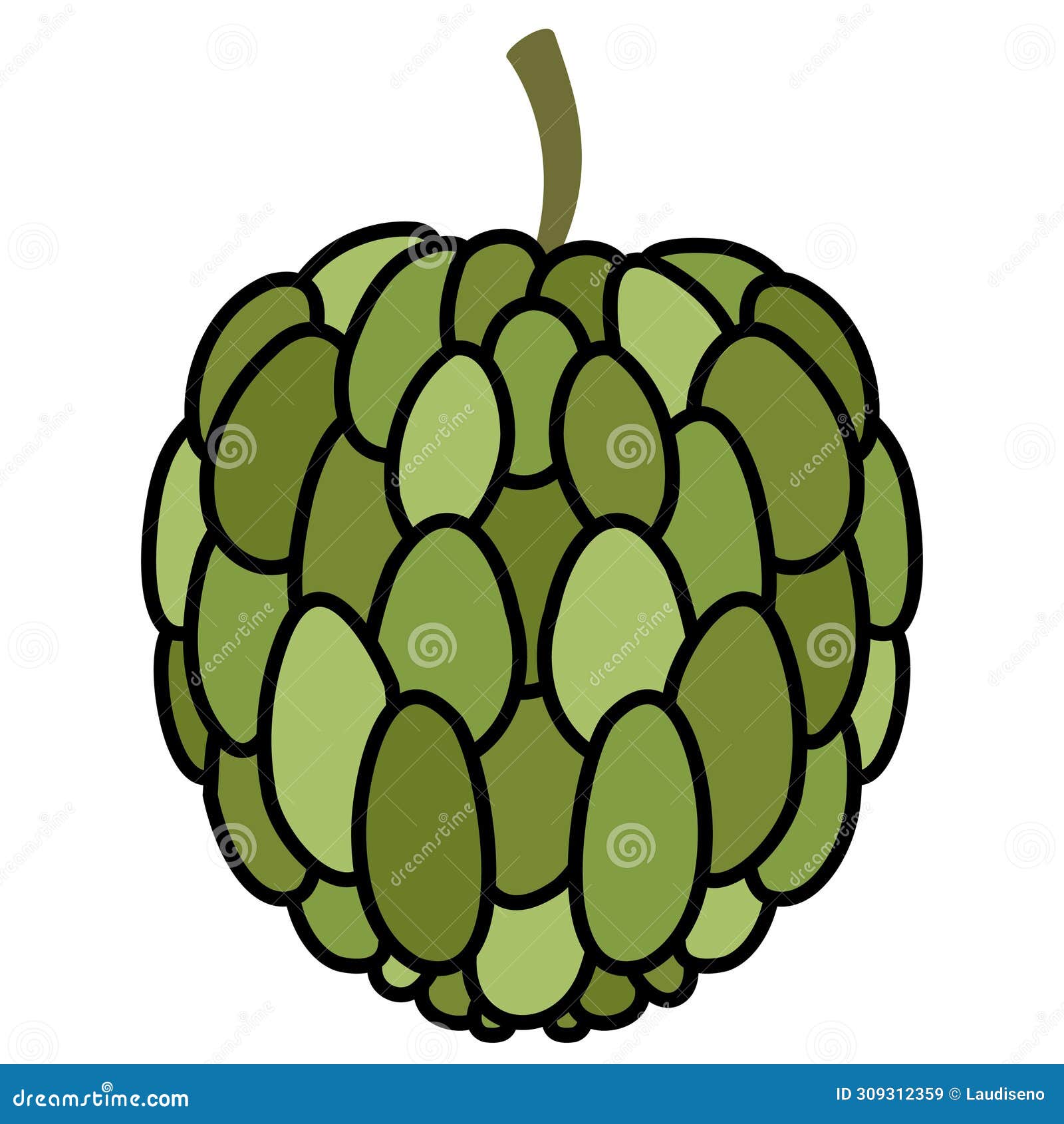 Colored Anon Fruit Icon Vector Stock Vector - Illustration of design ...