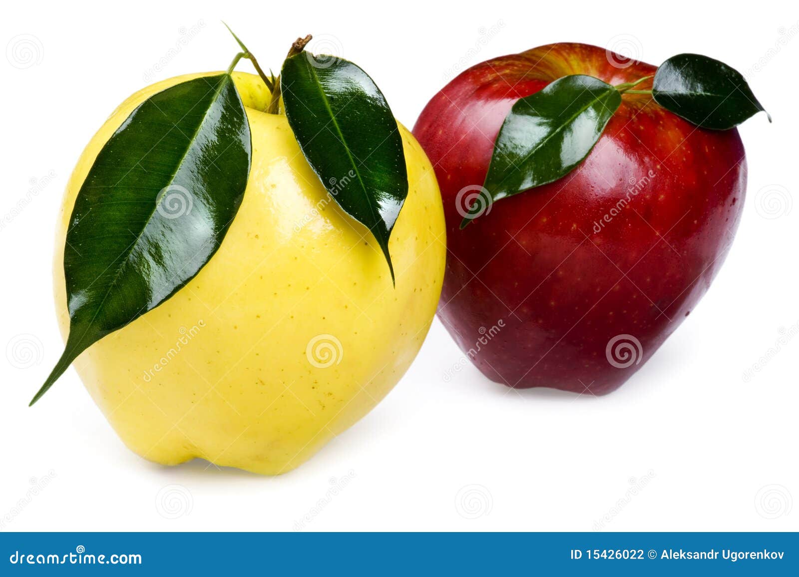 Colored apple close up stock photo. Image of sweet, nutrition - 15426022