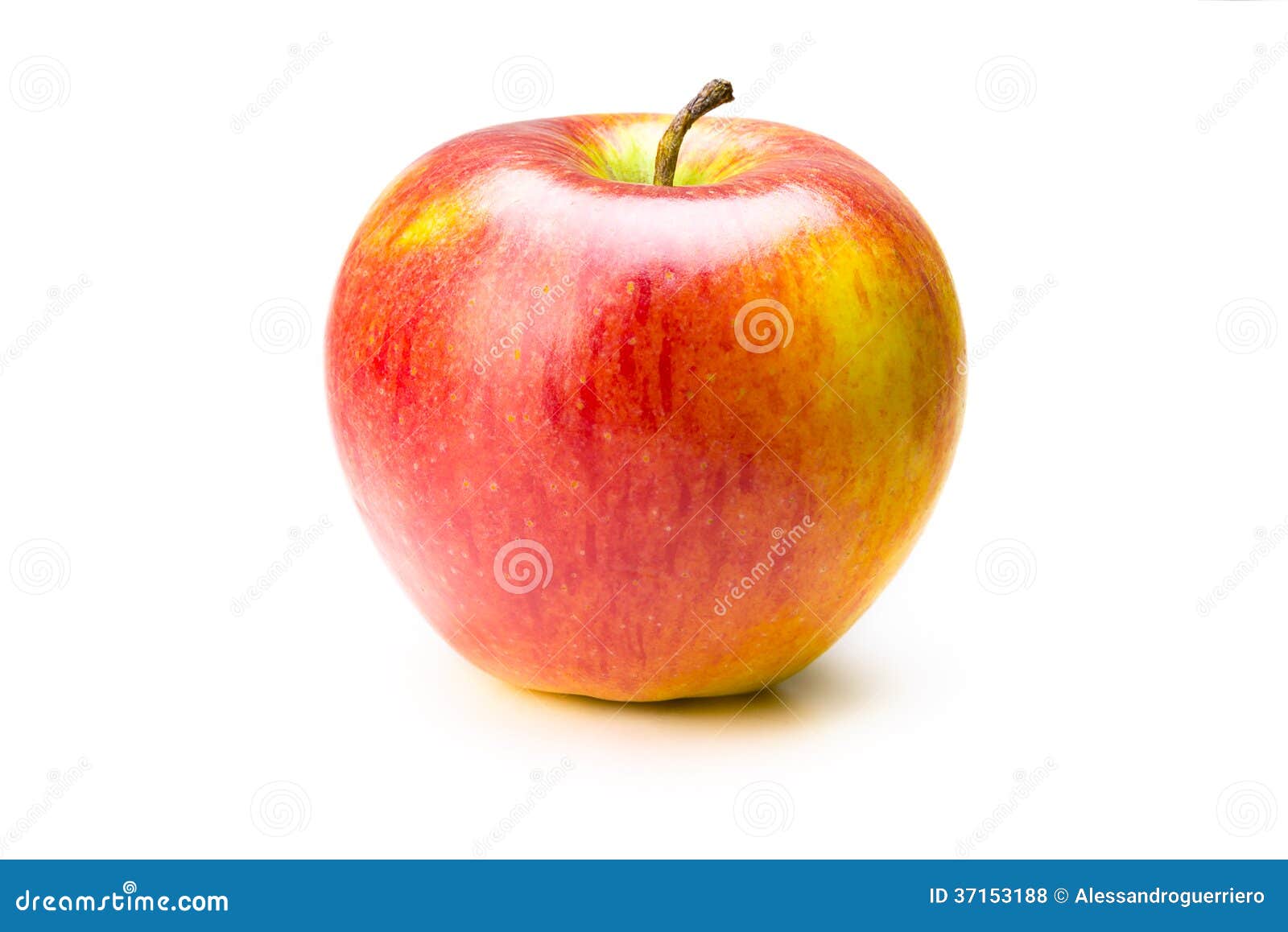 Colored apple stock photo. Image of organic, agriculture - 37153188